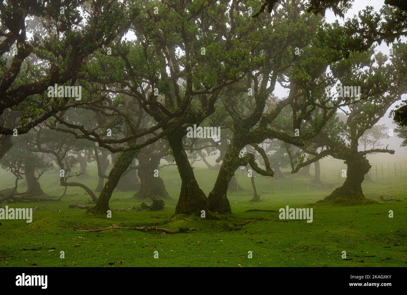 Tour fanal hi-res stock photography and images - Alamy