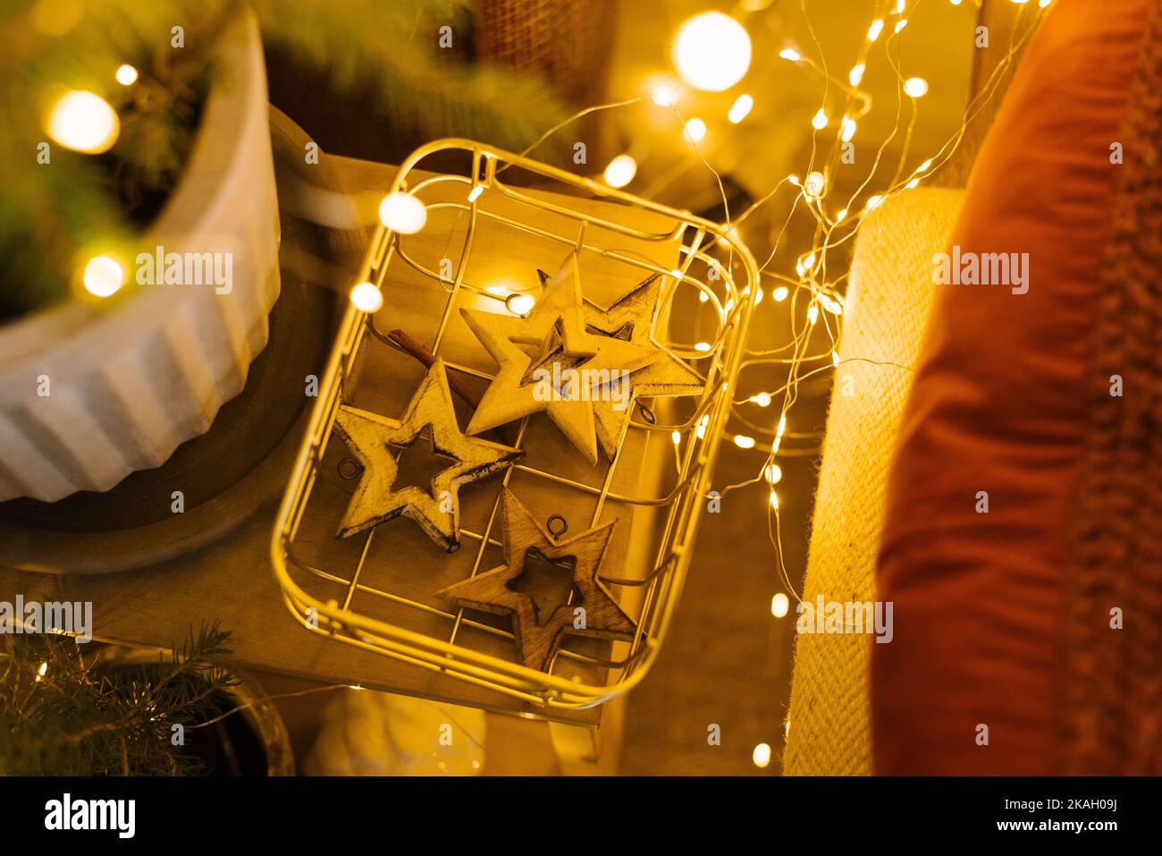 Golden star cactus hi-res stock photography and images - Alamy