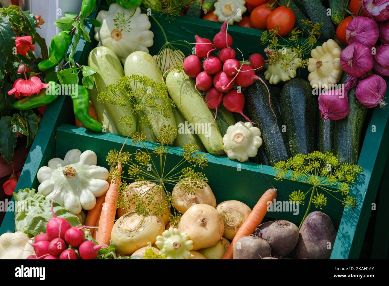 From above various fresh vegetables placed inside green containers on ...