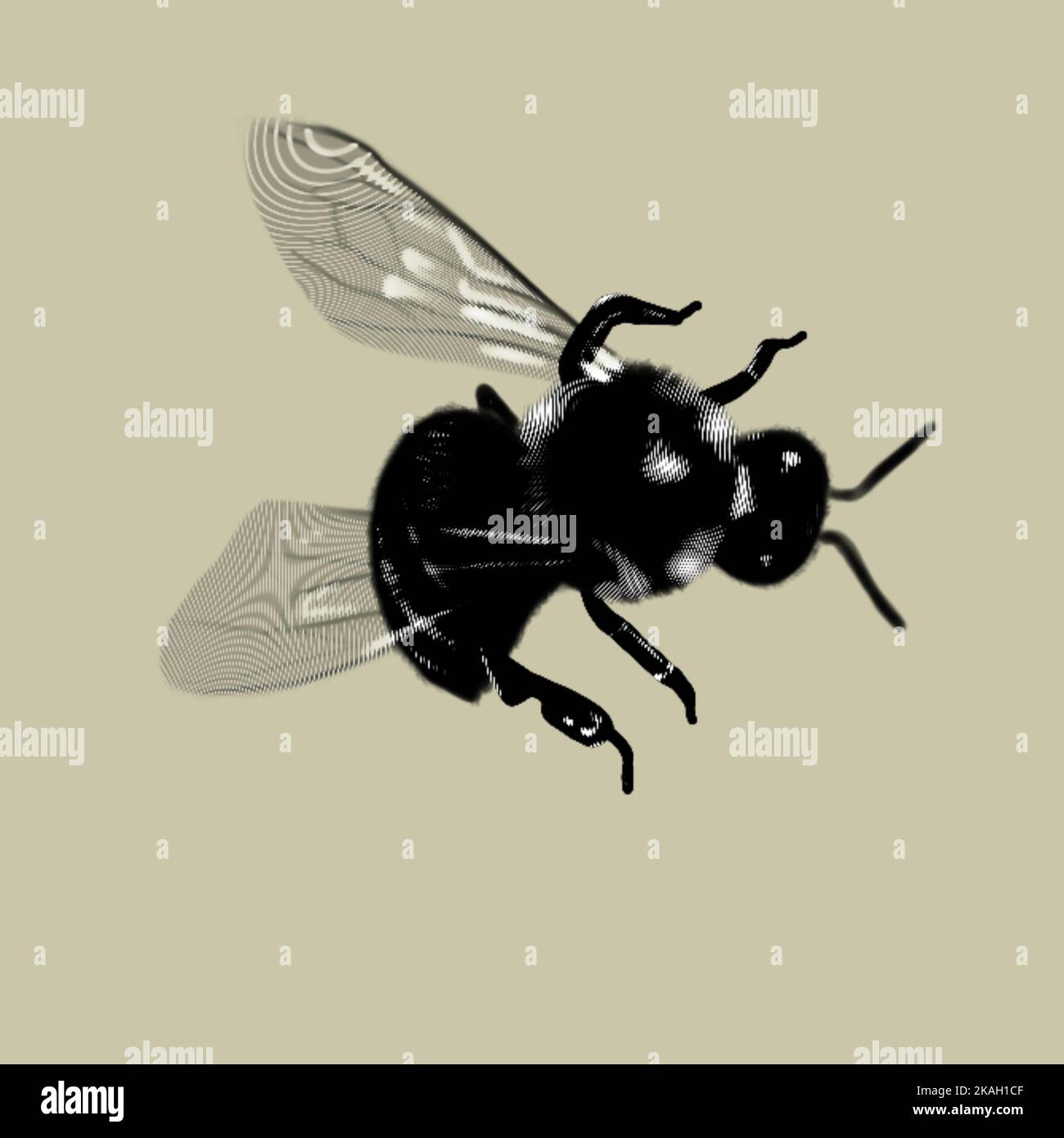 graphic engraving. Graphic bee. Realistic ink bee. honey bee Stock ...