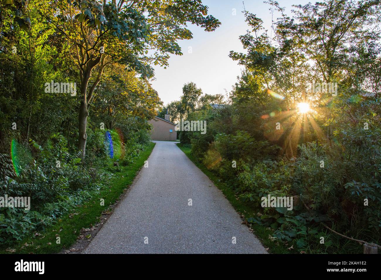 A path among trees and houses on a sunny afternoon Stock Photo - Alamy
