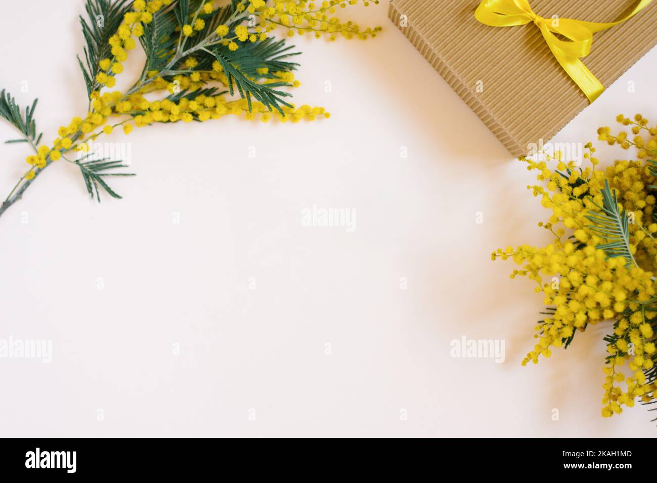Yellow mimosa and gift box lying on a white background, top view and ...