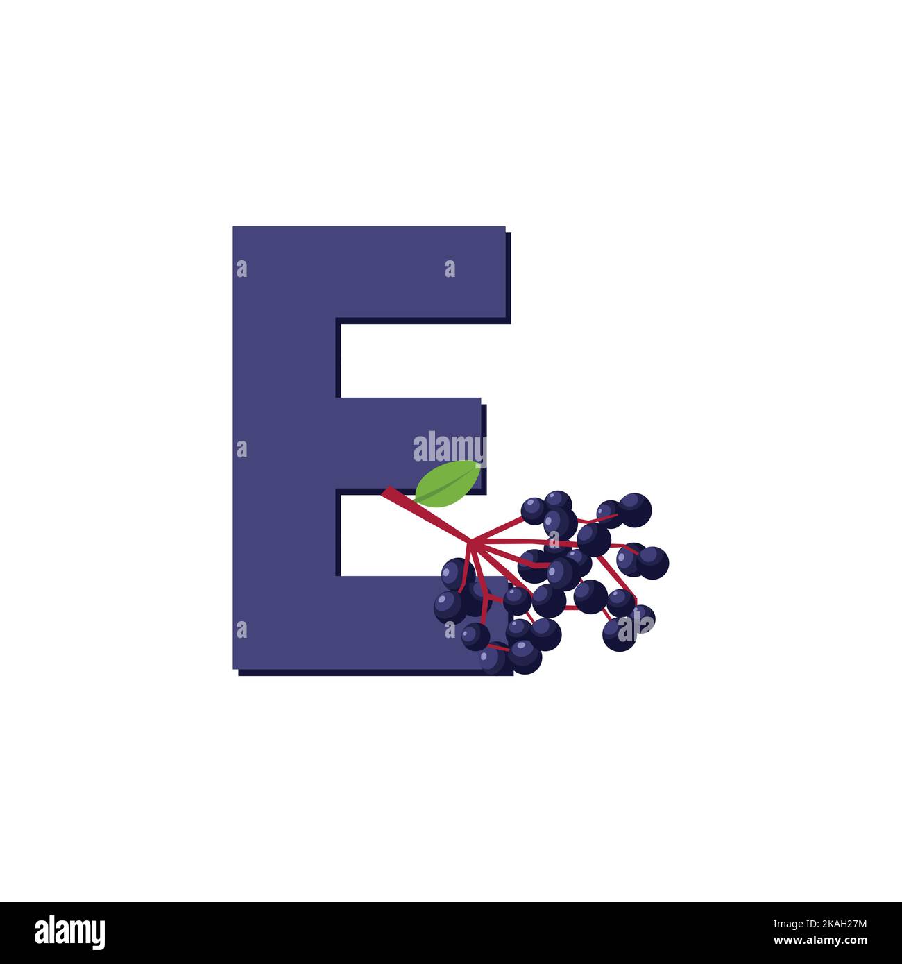 Elderberry, Fruit Alphabet, Clip Art Vector, Illustration for kids ...