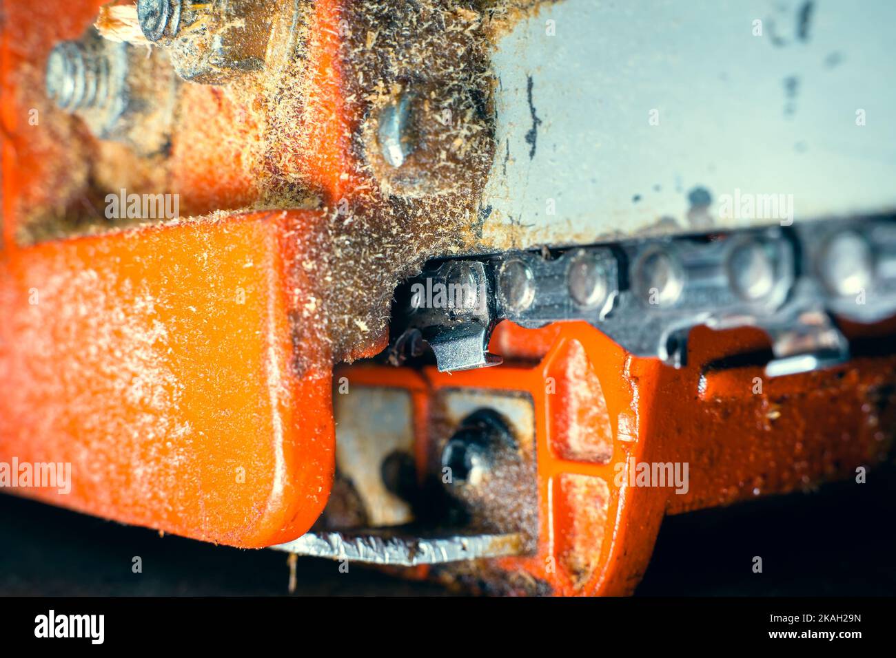Chainsaw chain on the tire close-up. Saw teeth for cutting wood on a ...
