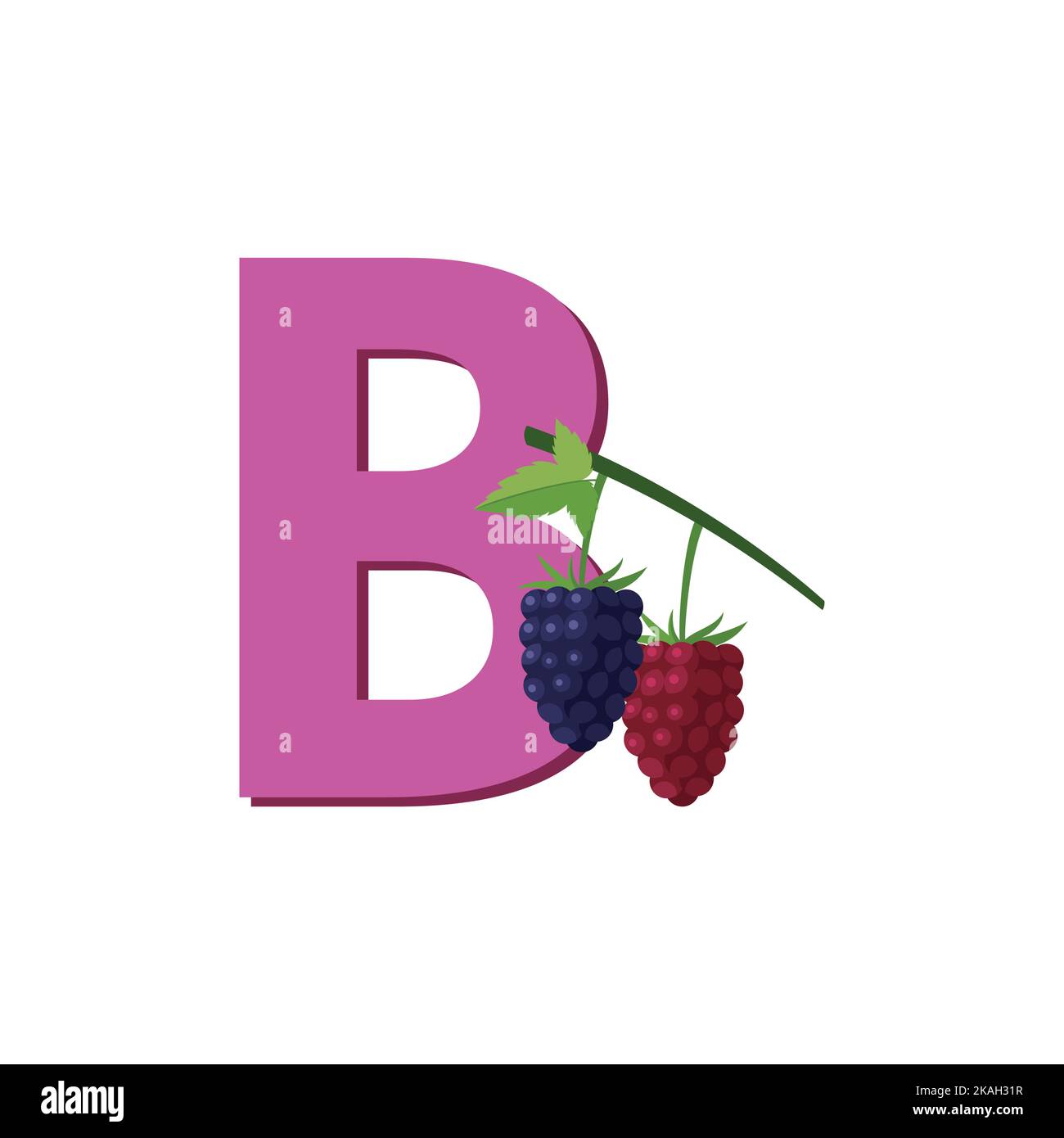 Boysenberries, Fruit Alphabet, Clip Art Vector, Illustration for kids ...