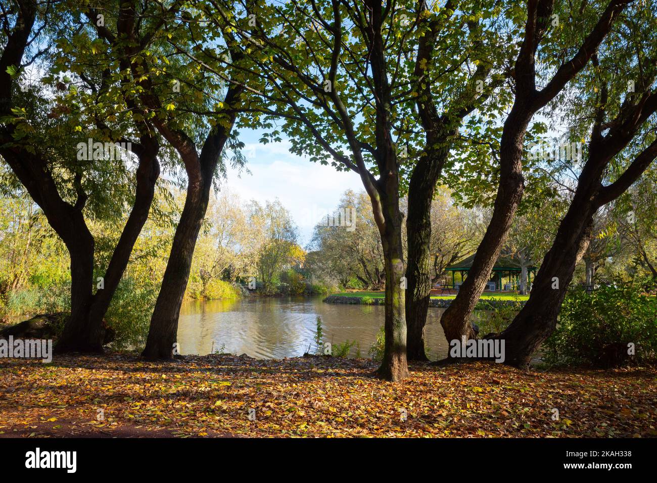 A sunny late autumn day in Locke Park Lake Redcar North Yorkshire with ...