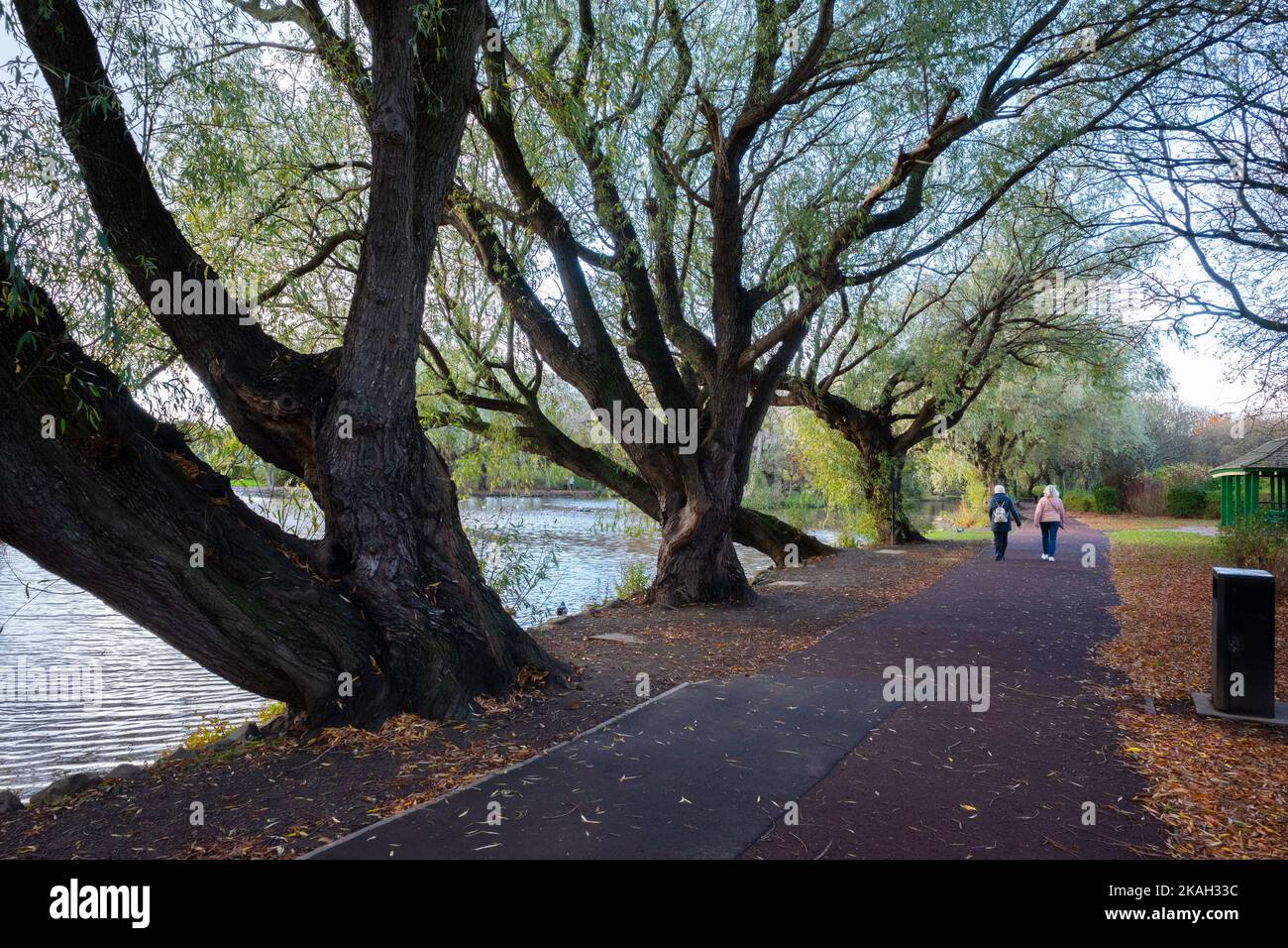 A sunny late autumn day in Locke Park Lake Redcar North Yorkshire with ...