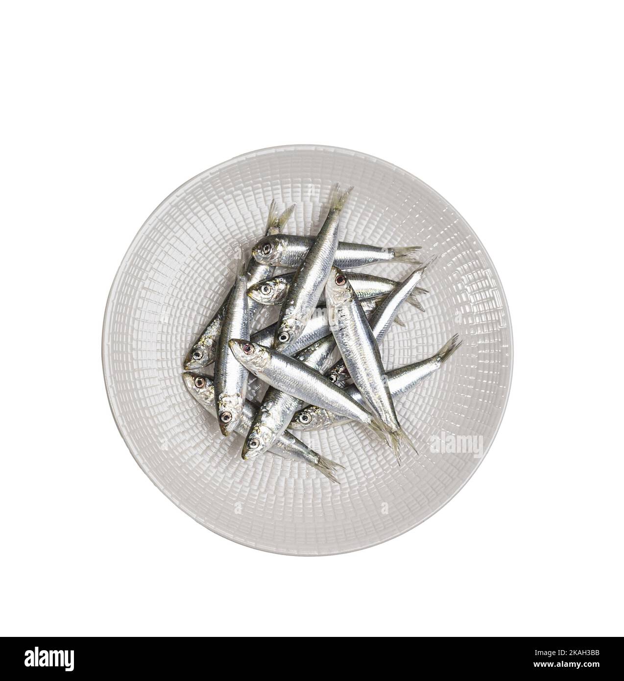 some sardines arranged on a plate on a transparent background Stock ...