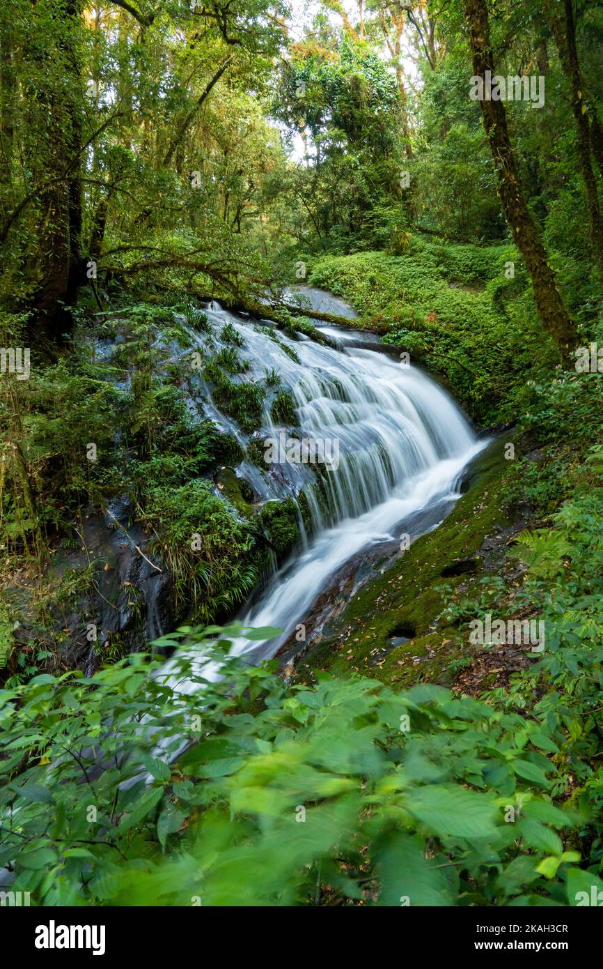 First waterfall on the Kew Mae Pan Nature Trail at Doi Inthanon in ...
