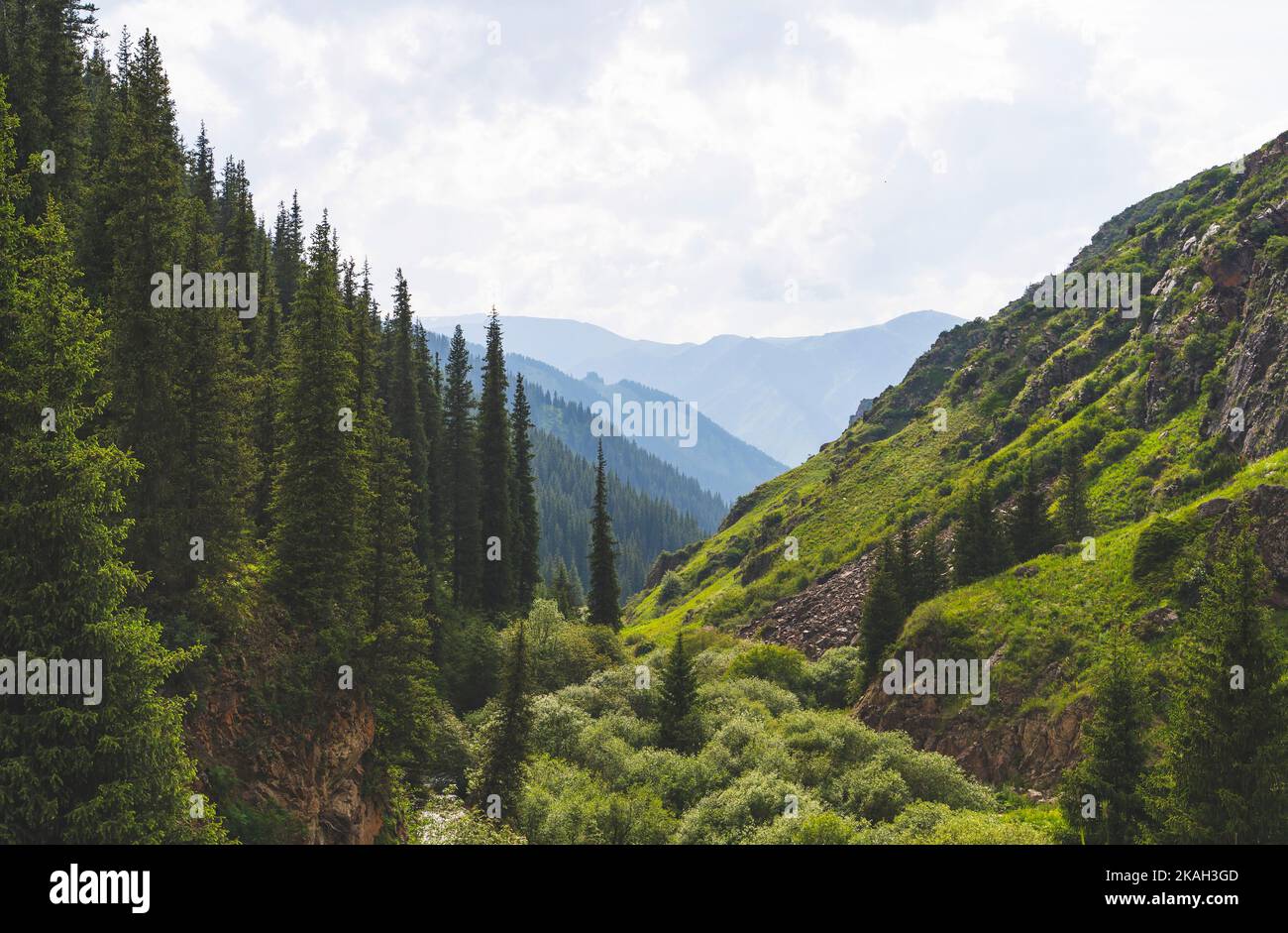 Top view almaty city green hi-res stock photography and images - Alamy