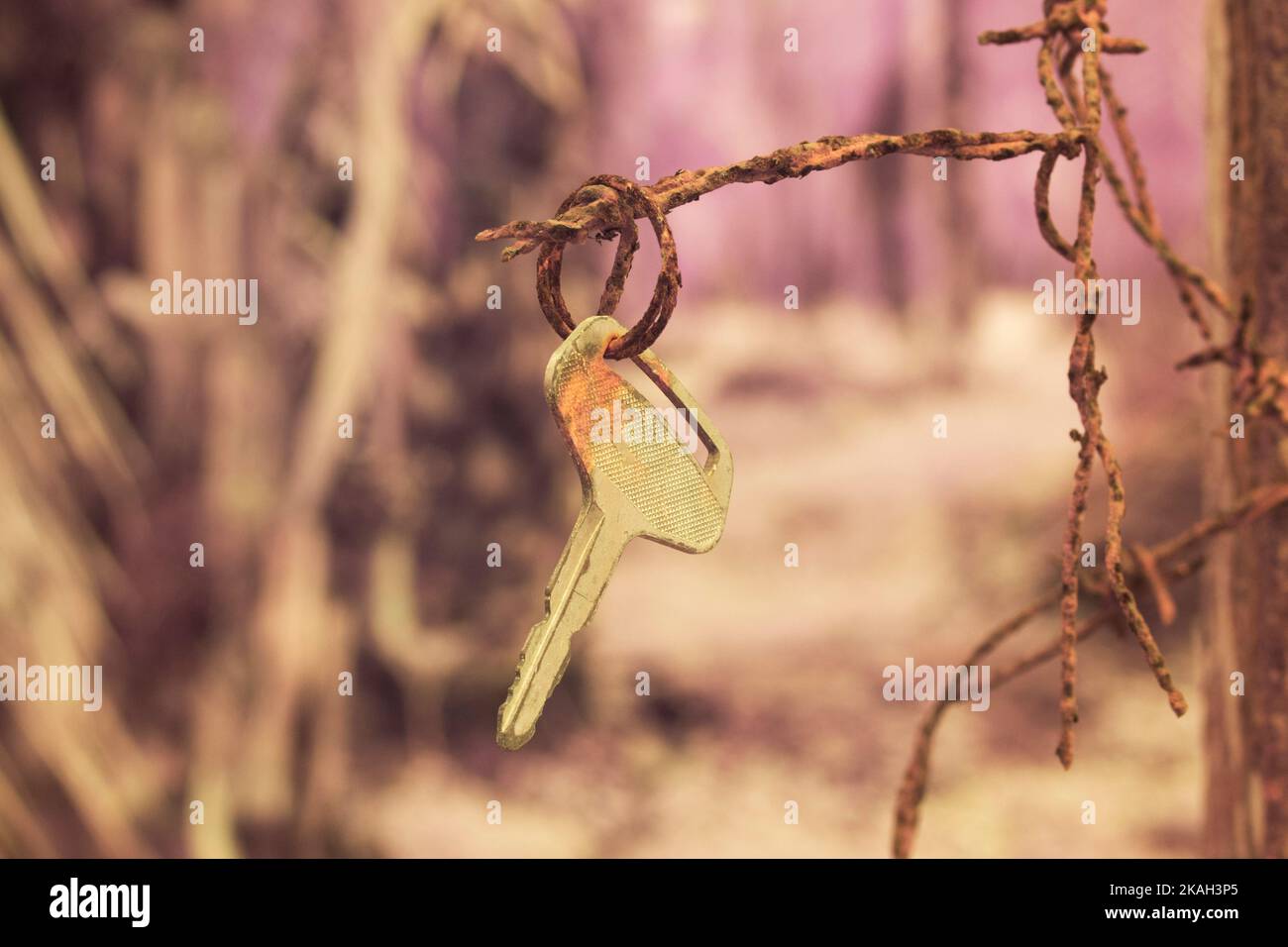 infrared image of the old steel key on the rusty bard wire line Stock ...