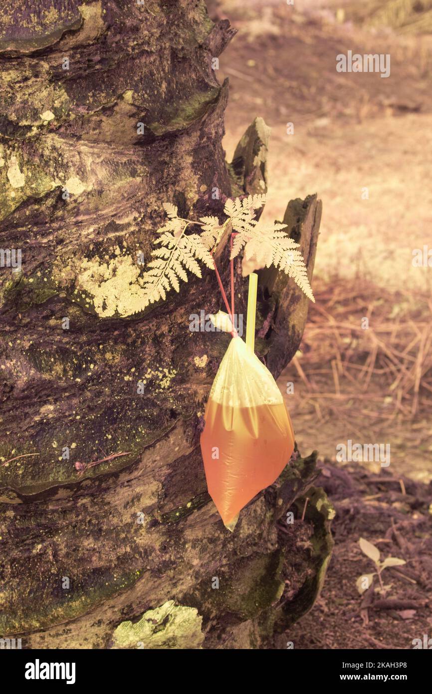 infrared image of the someone left a hanging plastic drink bag at the ...
