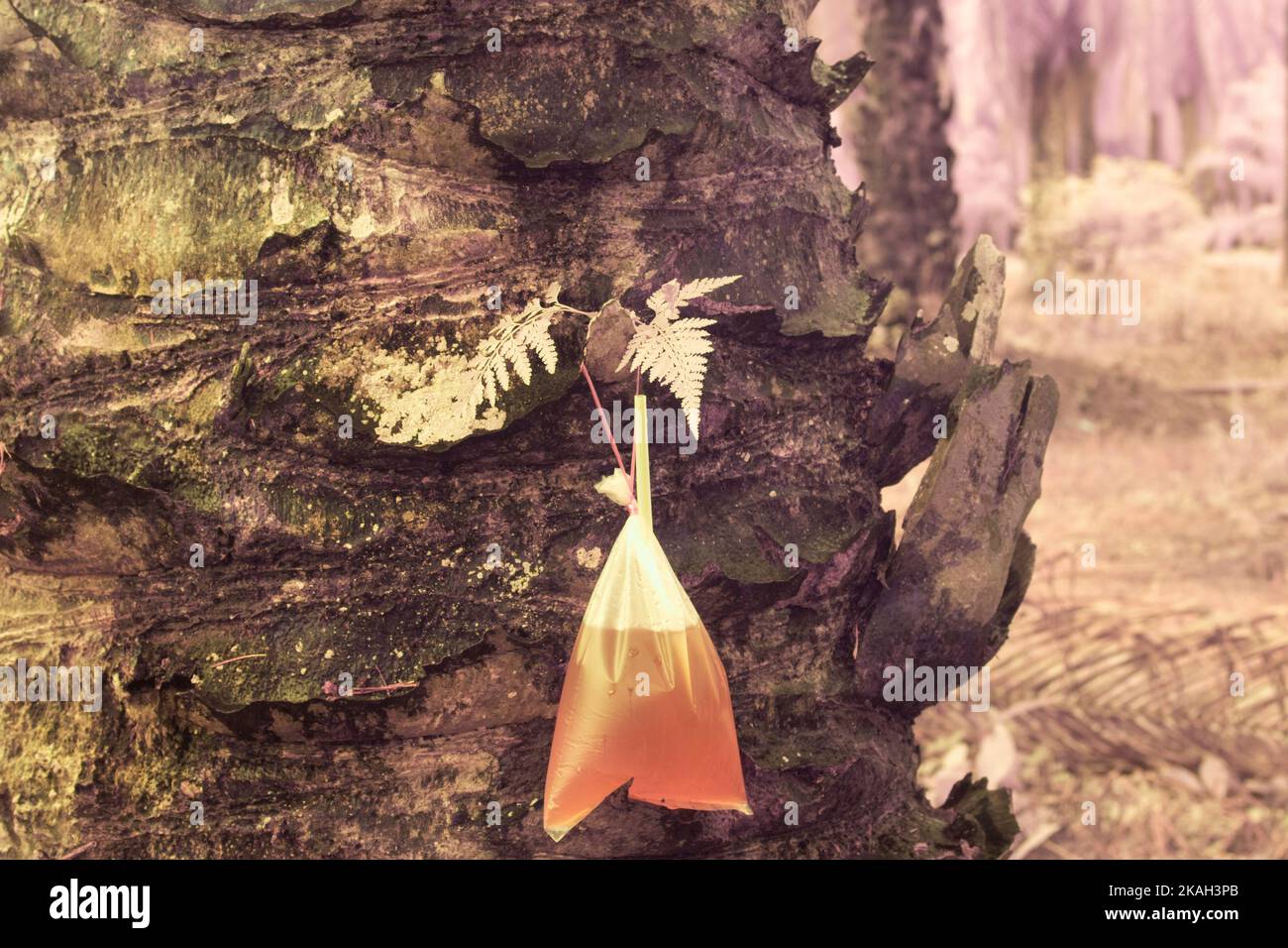 infrared image of the someone left a hanging plastic drink bag at the ...