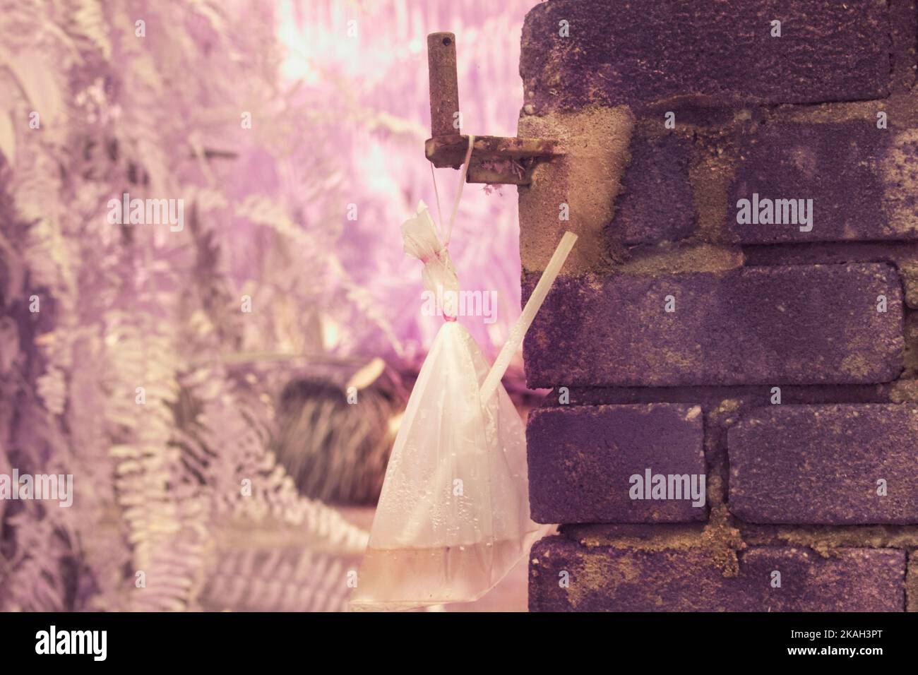 infrared image of the someone left a hanging plastic drink bag at the ...