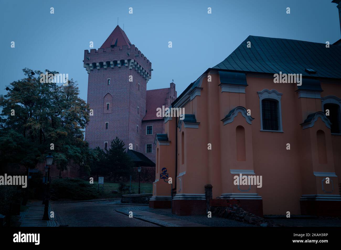 Royal Castle in Poznan. Reconstructed medieval castle Stock Photo - Alamy