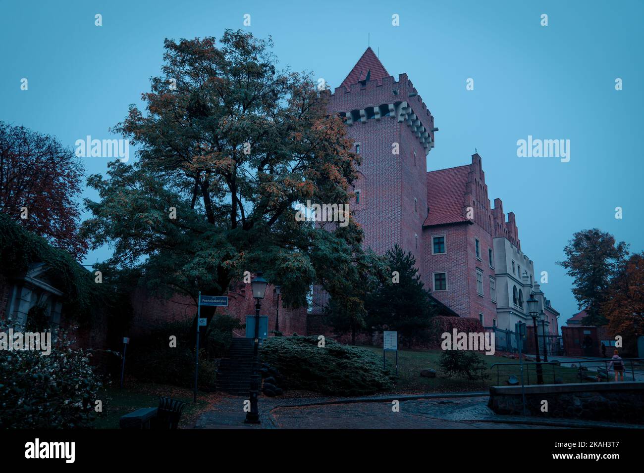 Royal Castle in Poznan. Reconstructed medieval castle Stock Photo - Alamy