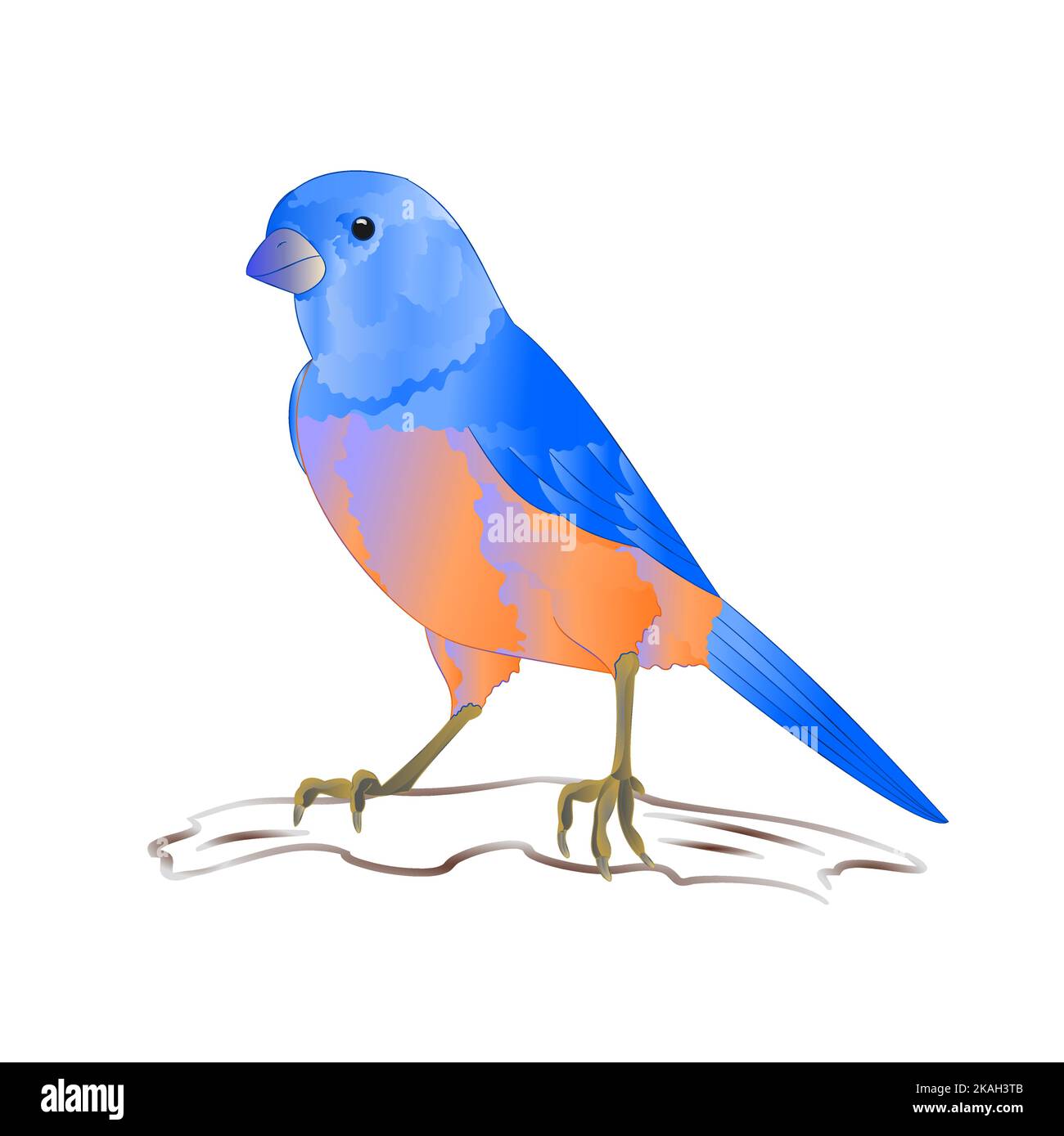 Bluebird cartoon background blue bird hi-res stock photography and ...