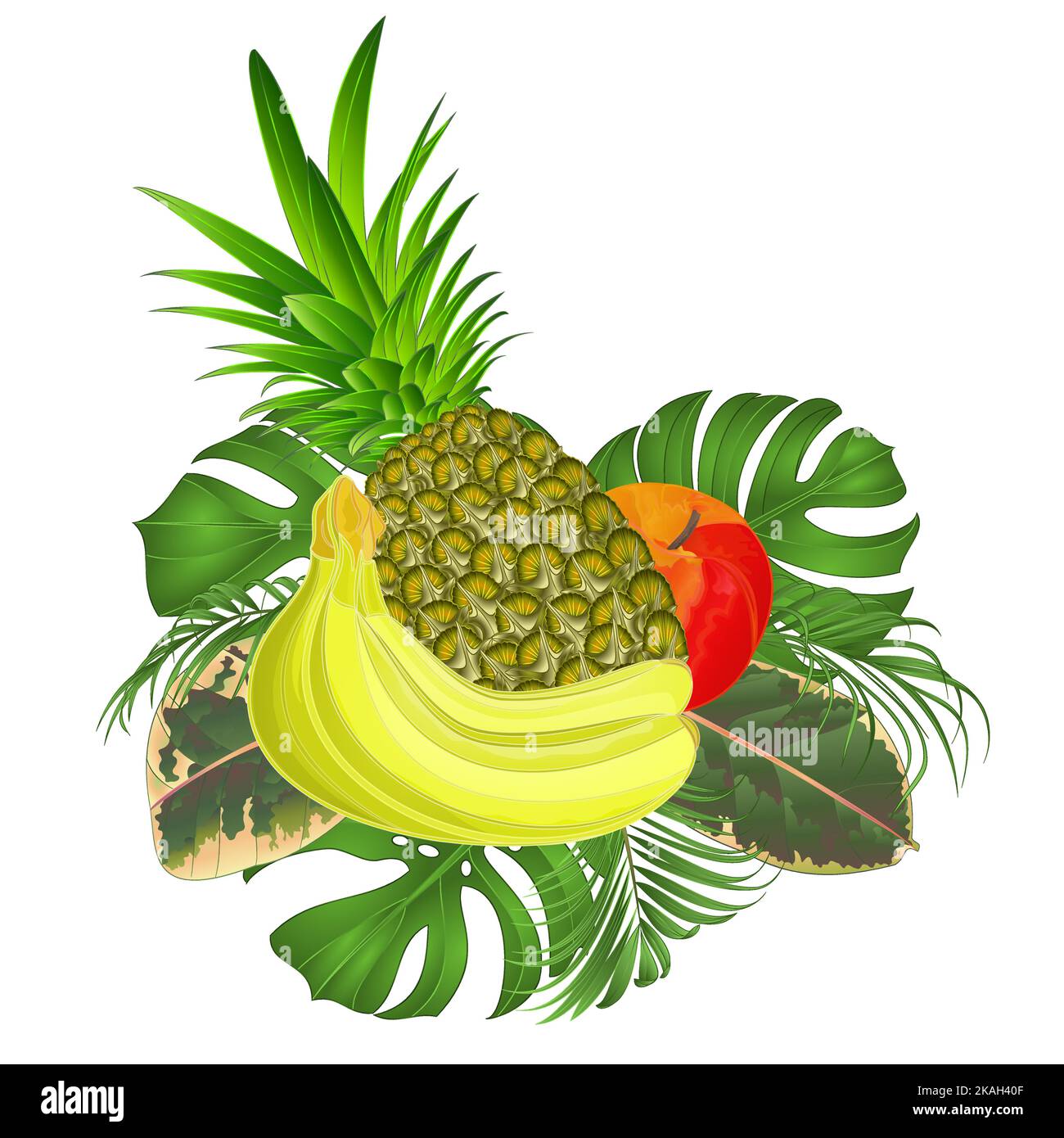 Tropical fruit set with tropical leaves ficus,palm,philodendron,on white background vector ...