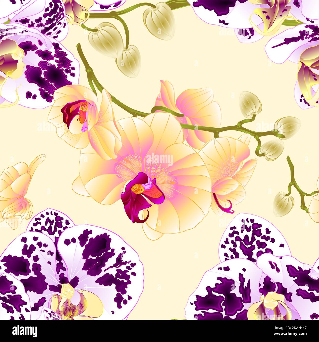 Seamless Texture Orchids Yellow And Spotted Phalaenopsis Stems With