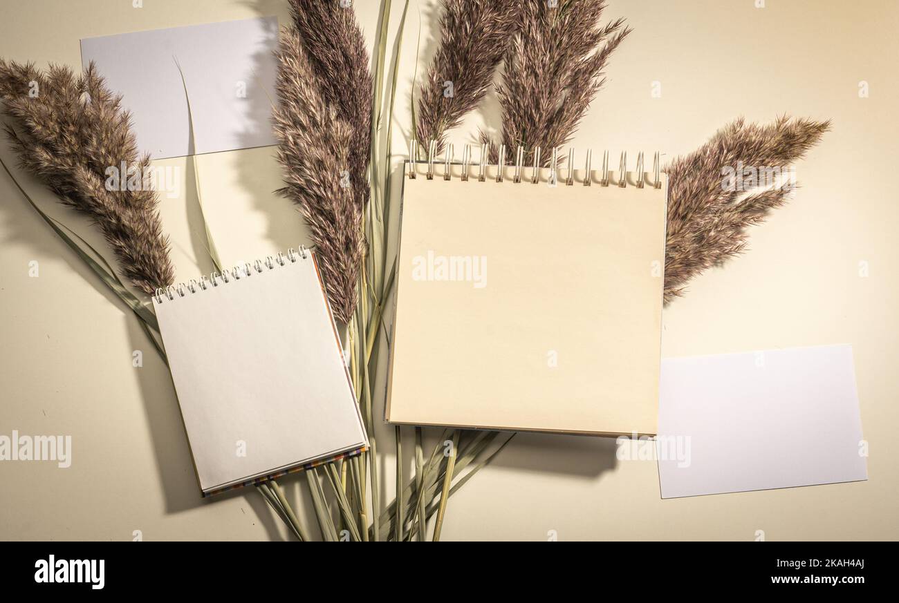 Blank paper, notepad sheets on beige background, top view. Mock up ...