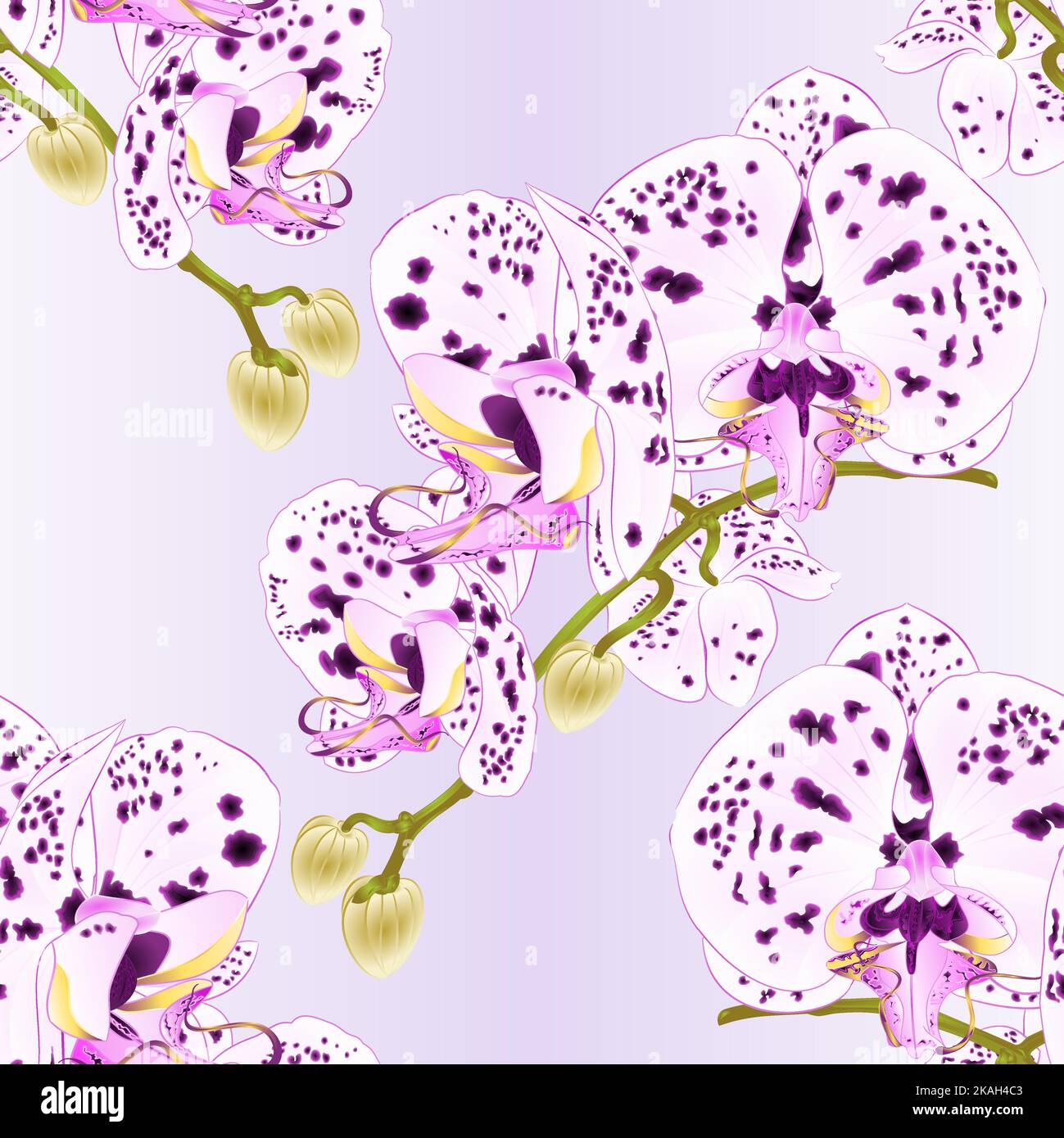 Seamless Texture Stem With Flowers And Buds Beautiful Orchid With Dots