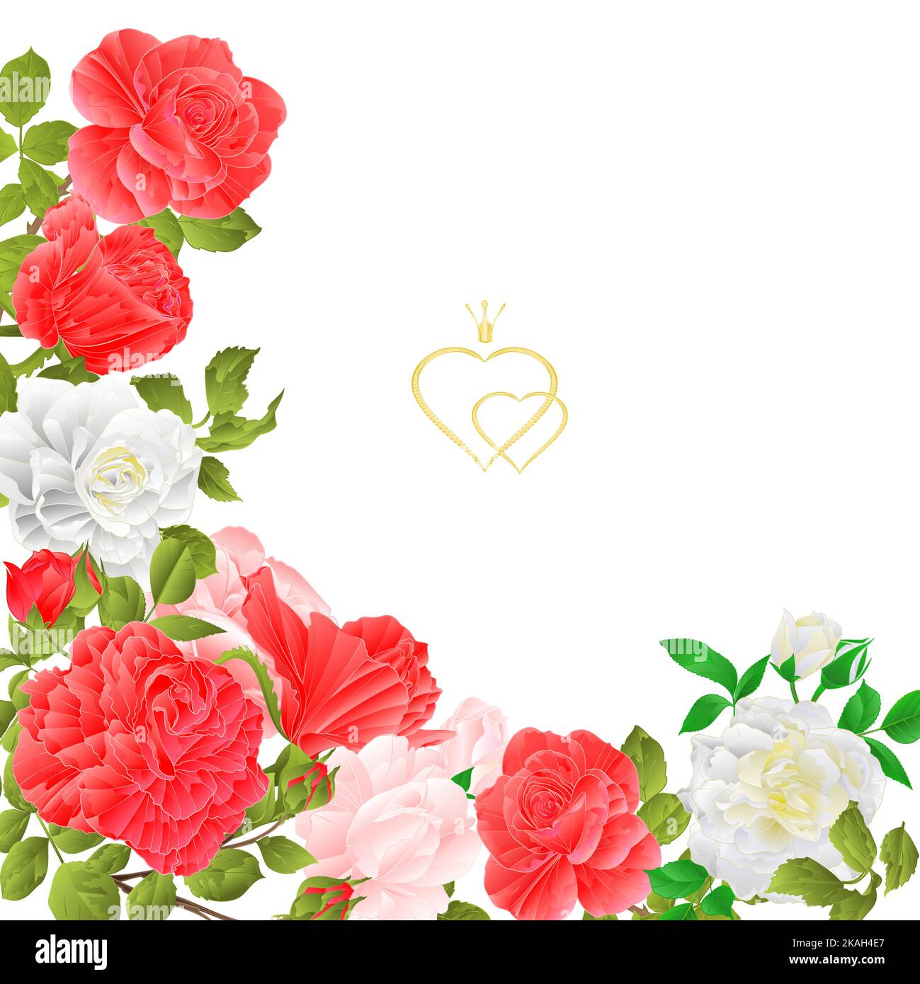 Floral border festive background with blooming roses and buds vintage vector Illustration for ...