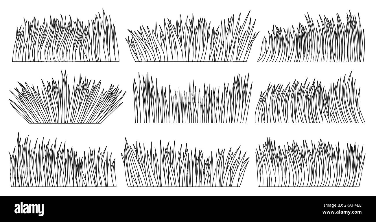 Grass natural organic lawn outline set. Coloring book page summer herb ...