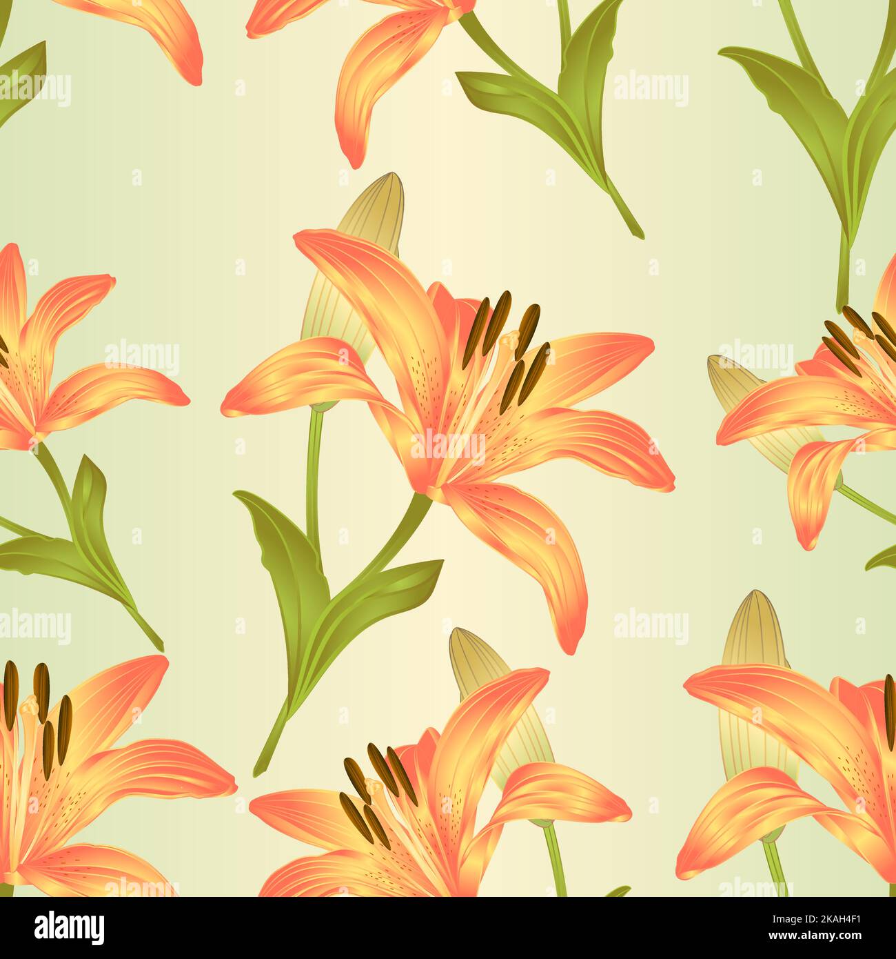 Yellow lily vector vectors hi-res stock photography and images - Alamy