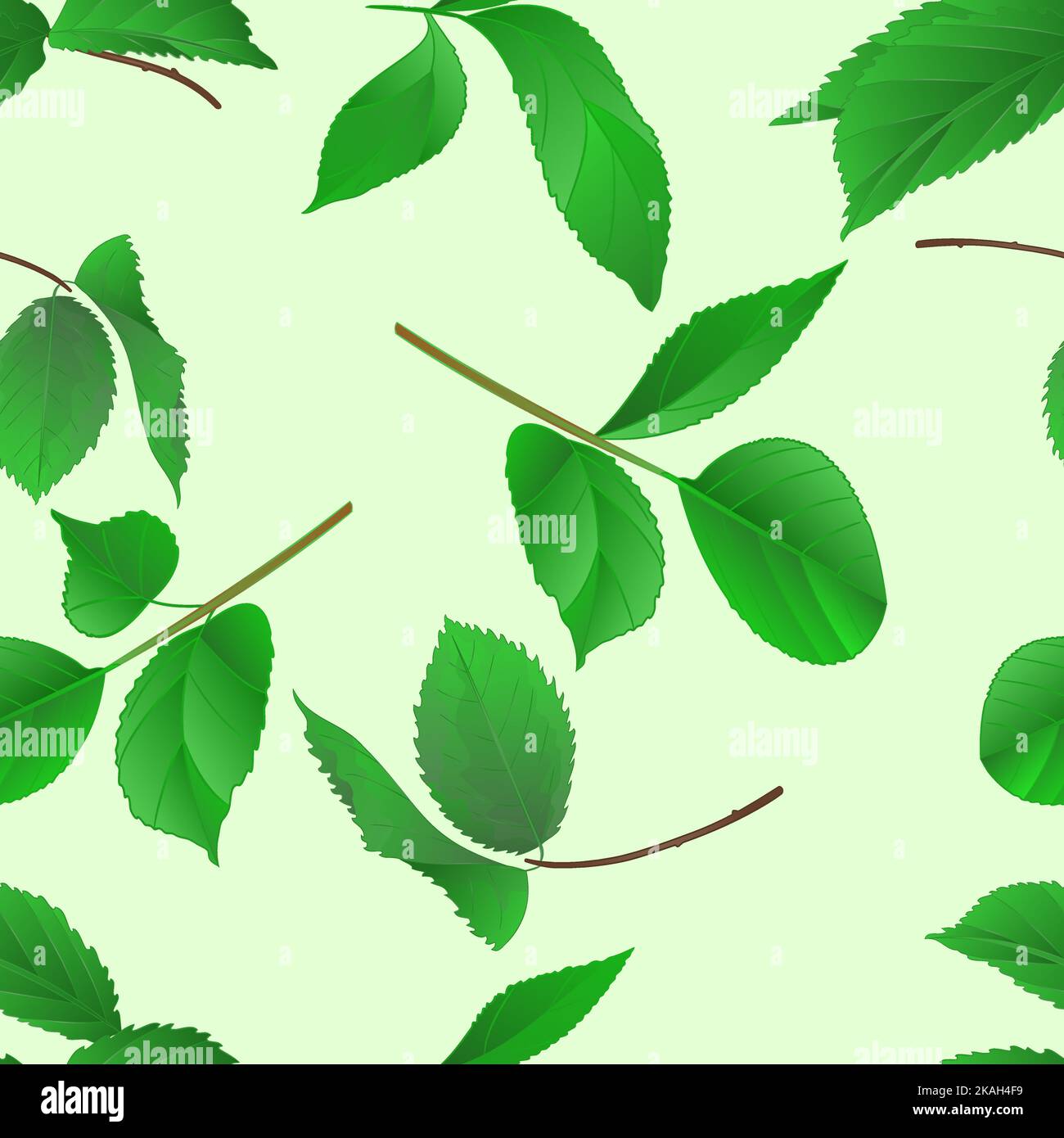 Seamless texture branches of roses with leaves vintage vector ...