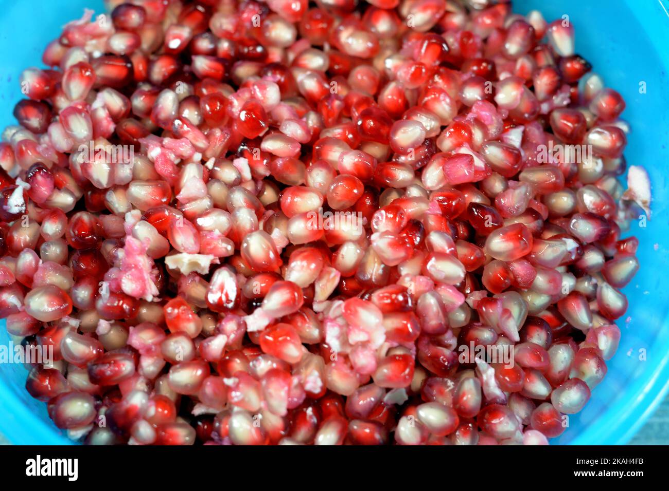 The pomegranate (Punica granatum), a fruit-bearing deciduous shrub in ...