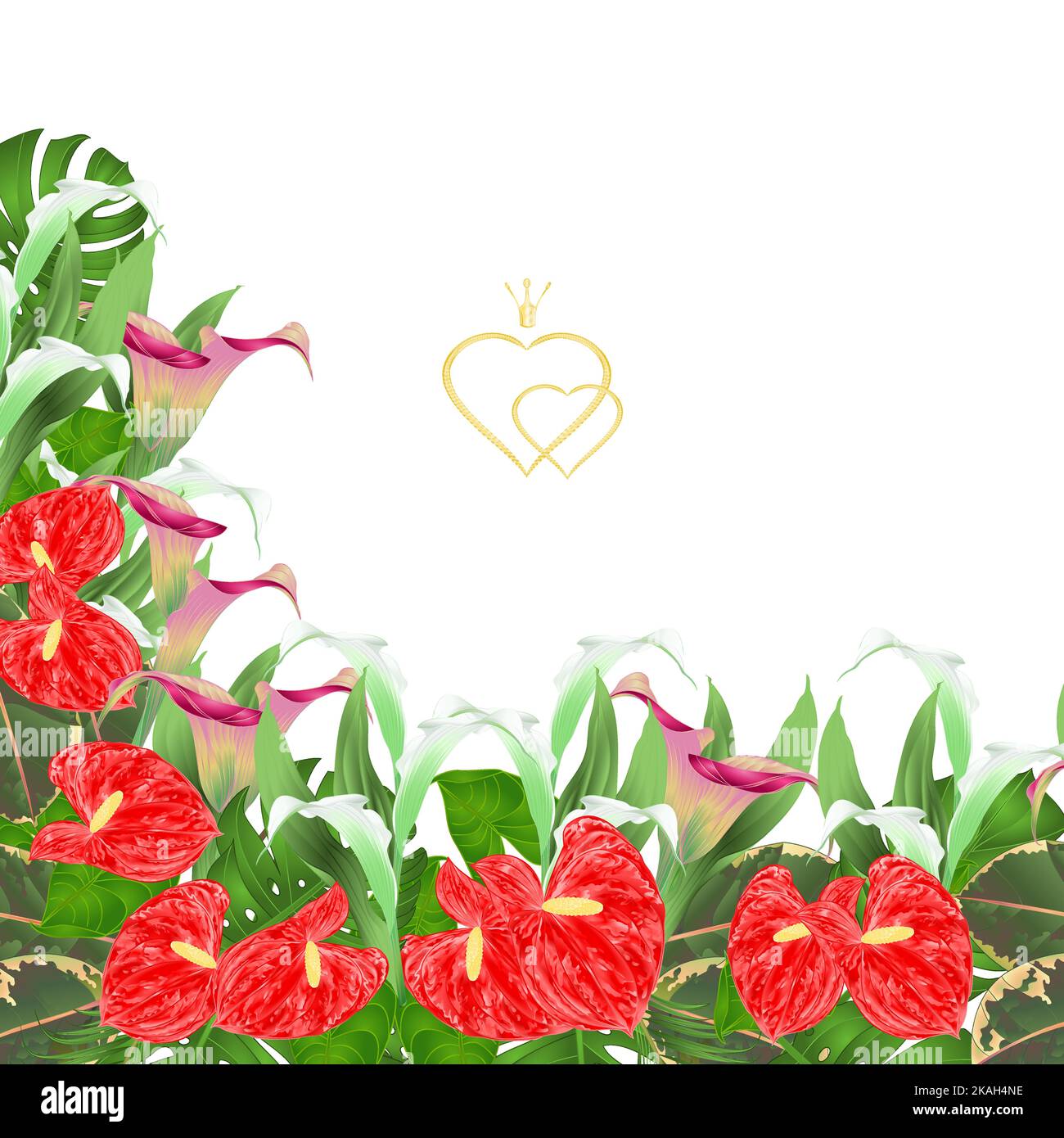 Floral border festive background with blooming lilies Cala and ...
