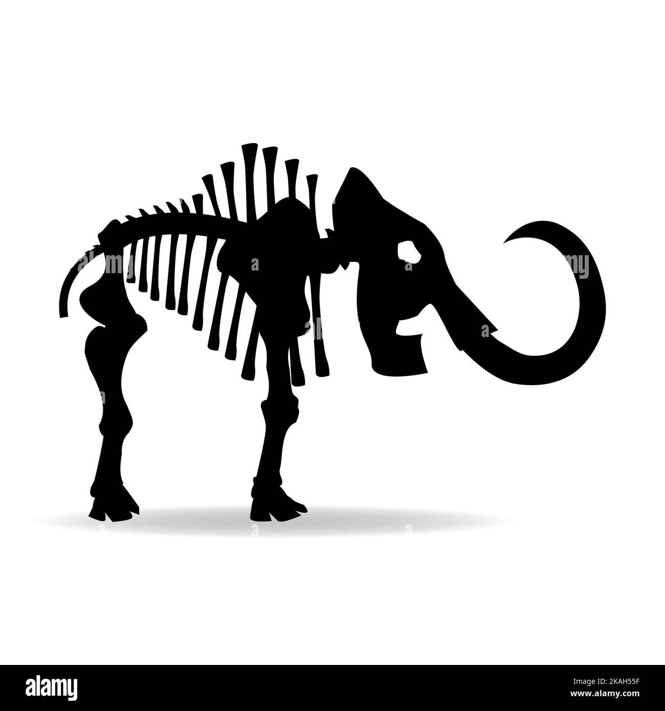 Fossil bones vector vectors Black and White Stock Photos & Images - Alamy
