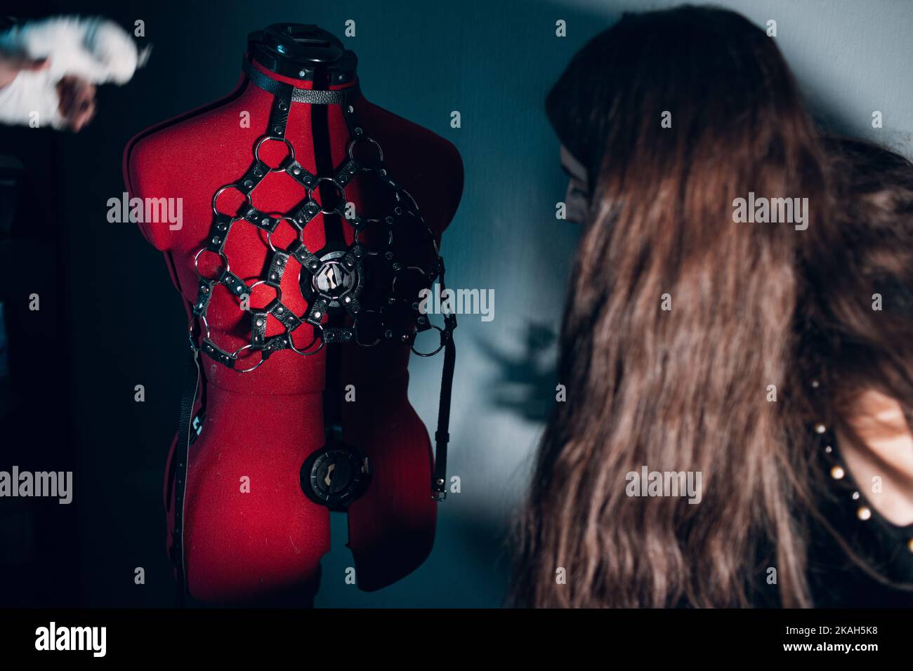 How To Make A Leather Harness Fashion at Russell Weyand blog