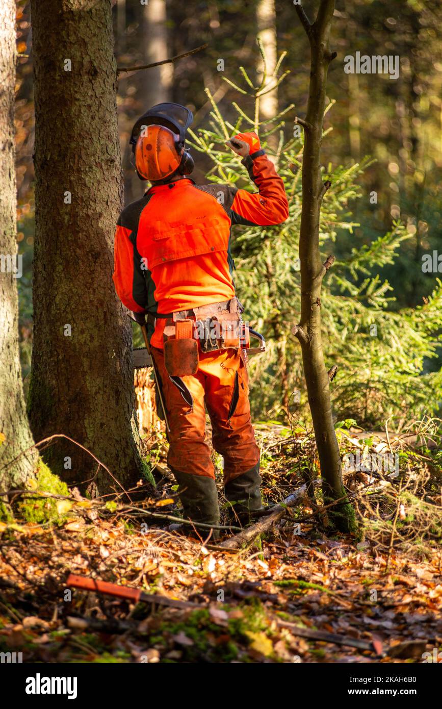Neuoetting,Germany- October 27, 2022:A logger checks the direction in ...