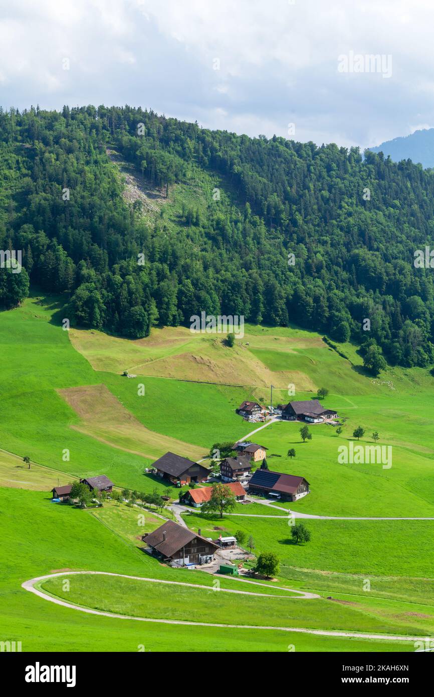 Panoramic view of countryside, green alpine meadows and the Alps ...