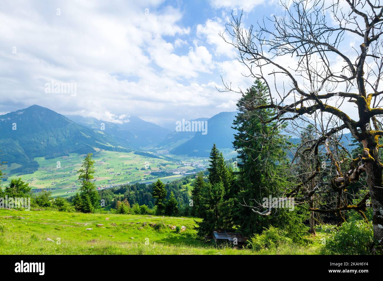 Panoramic view of countryside, green alpine meadows and the Alps ...