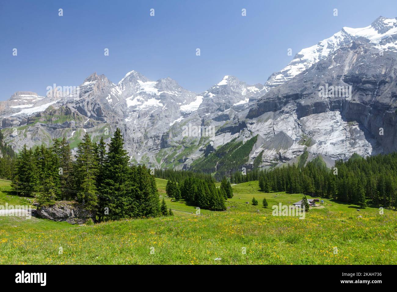 Panoramic view of green blooming alpine meadows and the Alps mountains ...