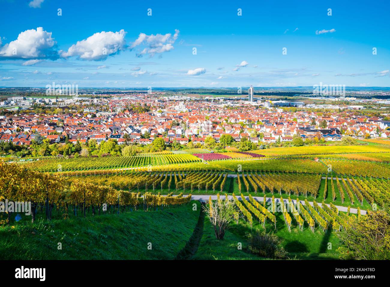 Germany, Fellbach skyline city vineyard panorama view autumn season ...