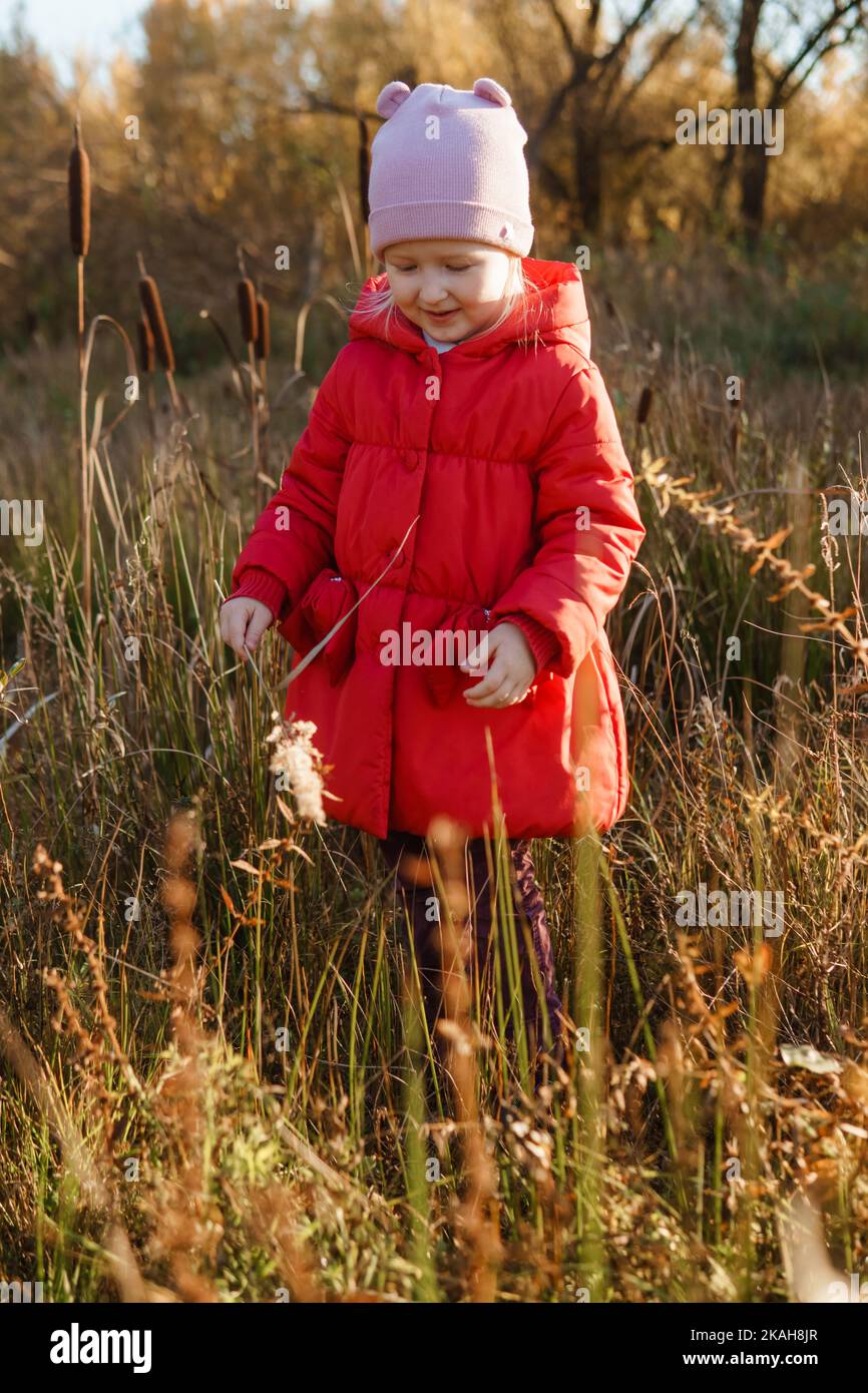 A little girl in a red coat walks in nature in an autumn grove. The ...