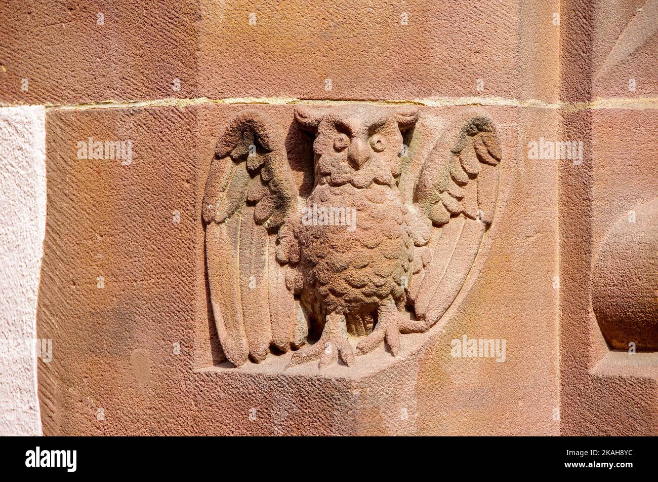 Owl carved in stone on the round arch of a window of the New Town Hall ...