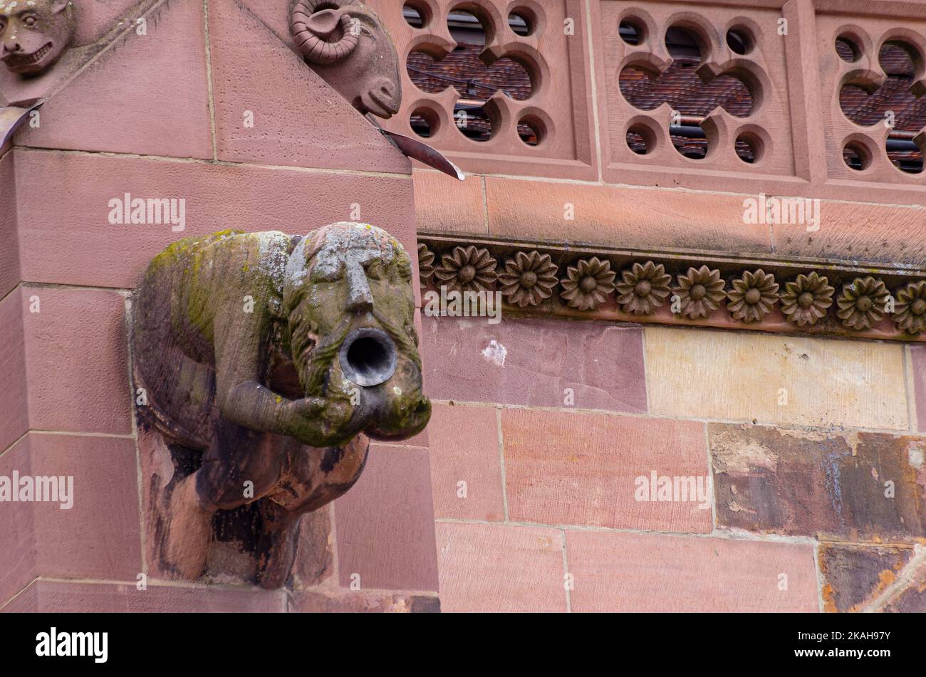 Waterspout at the buttress of the Freiburg Minster, the Cathedral of ...