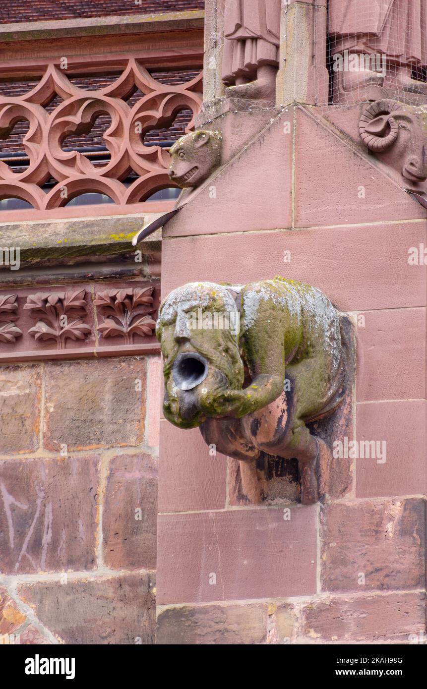 Waterspout at the buttress of the Freiburg Minster, the Cathedral of ...