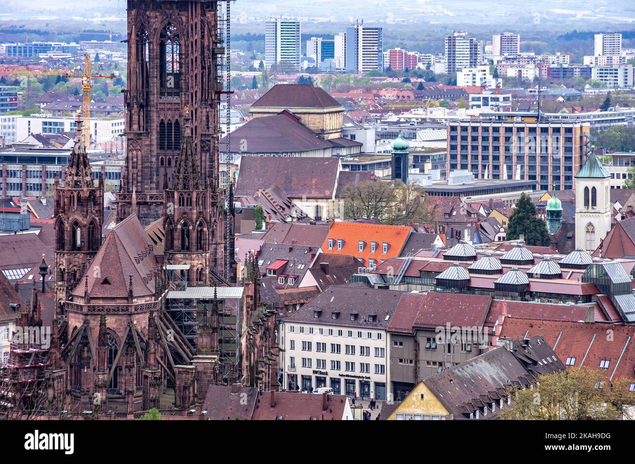 Partial view over Freiburg and the Minster, also Cathedral of Our Lady ...