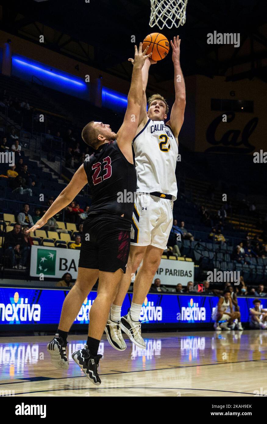 2022 0167 jpg hi-res stock photography and images - Alamy