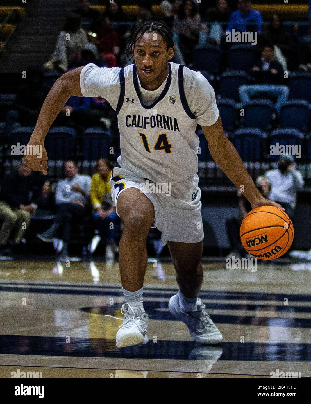 2022 0178 jpg hi-res stock photography and images - Alamy