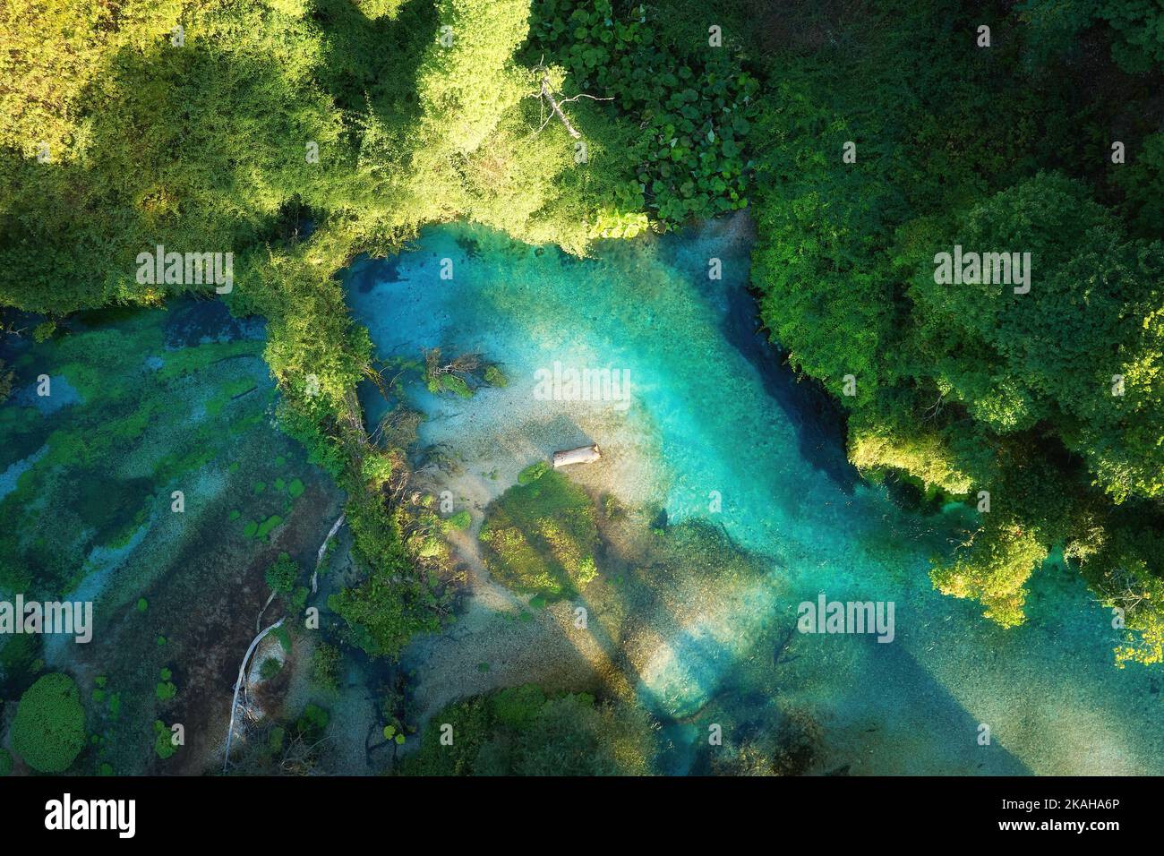 Clear, blue-green water of a mountain stream in oak and sycamore forest ...
