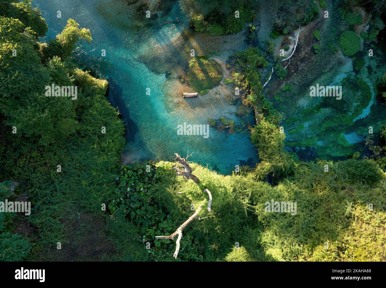 Clear, blue-green water of a mountain stream in oak and sycamore forest ...