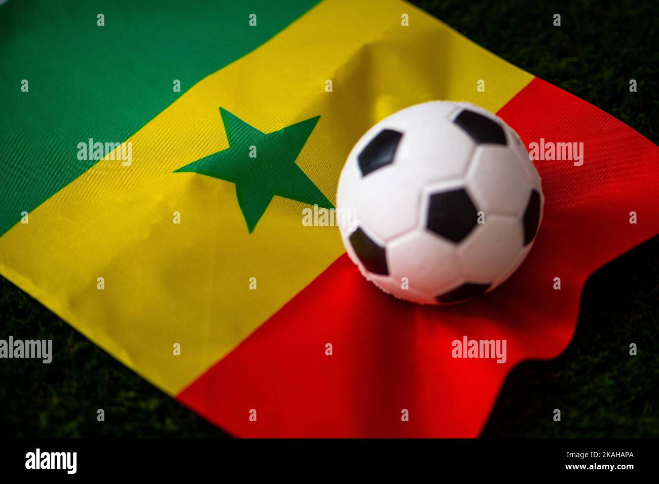 Senegal national football team. National Flag on green grass and soccer ...