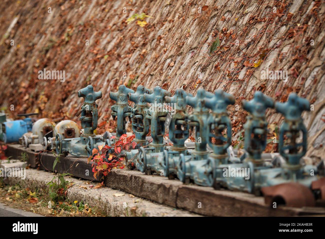 People are enjoying autumn views in Tianning No.1 Culture Science ...