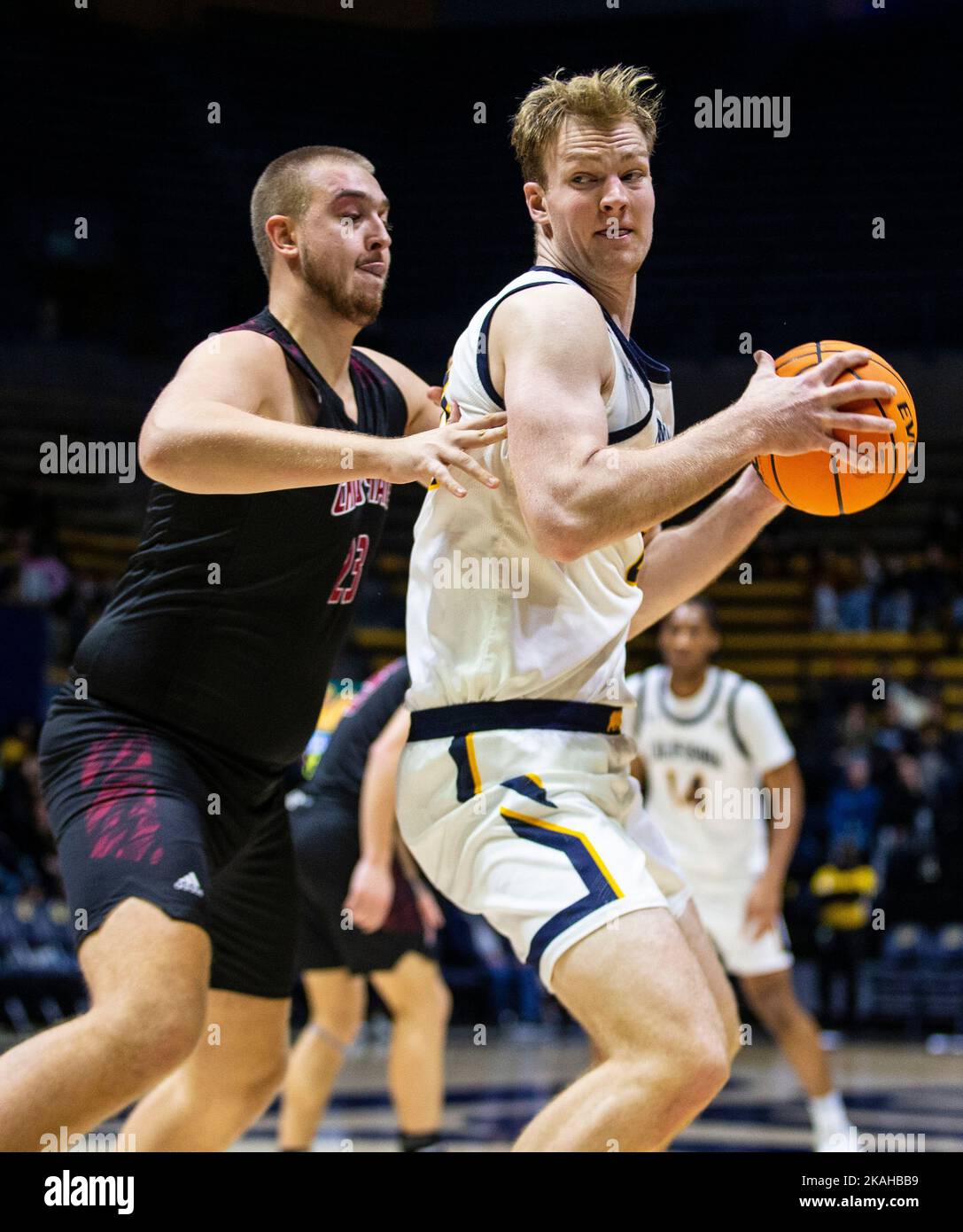 November 02 2022 Berkeley, CA U.S.A. California forward Lars Thiemann ...